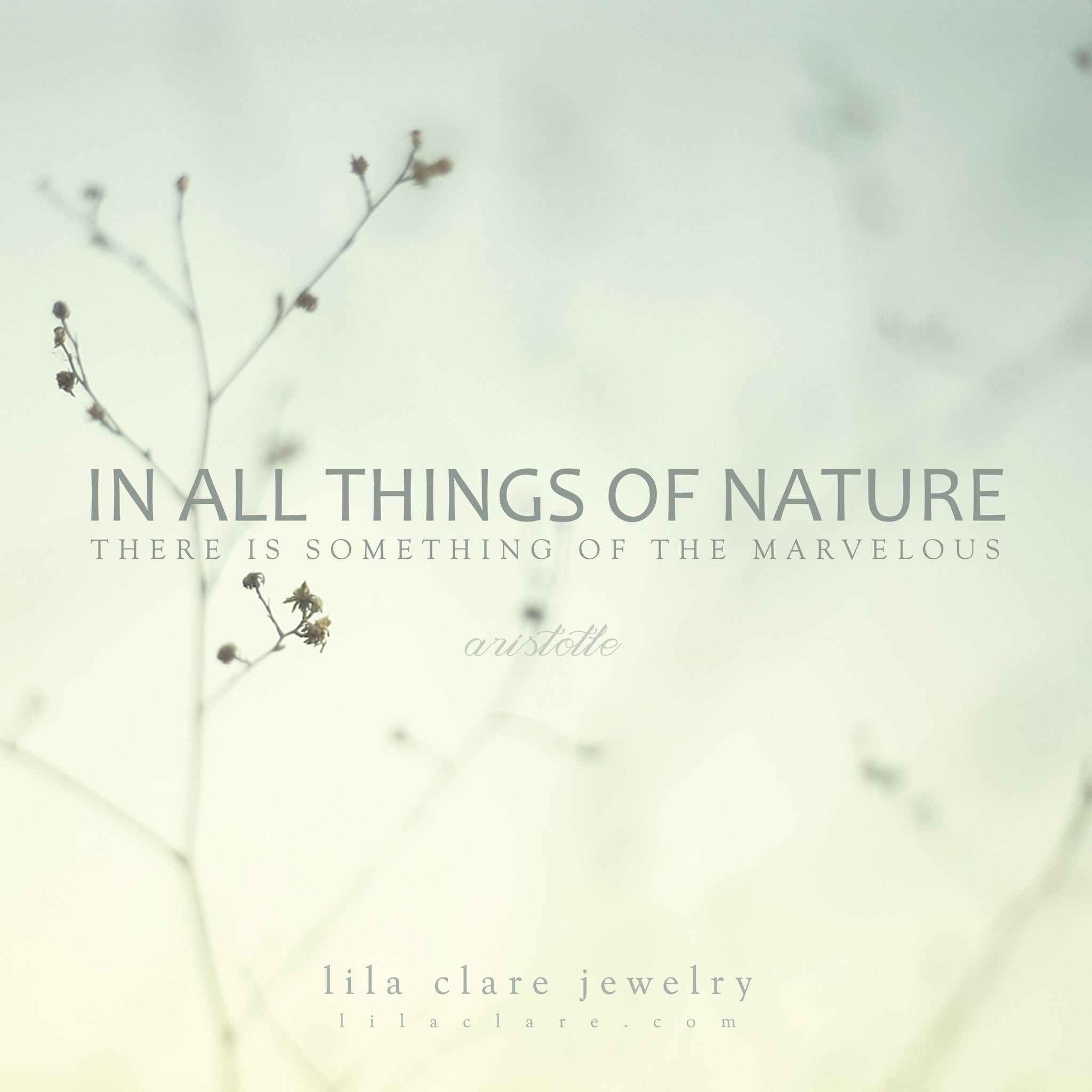 Oh, marvelous nature! – Lila Clare